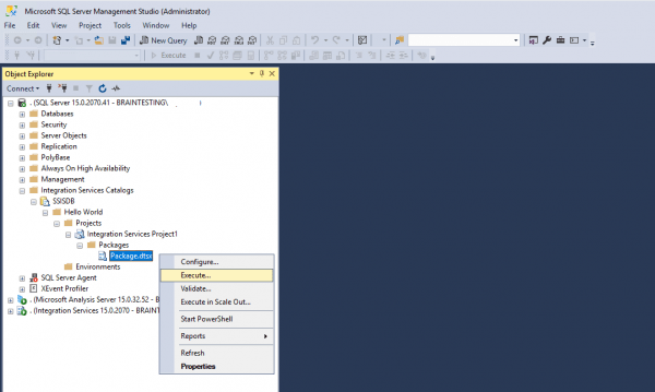 SQL Server Integration Services (SSIS) Basics – Script Task - .matrixpost.net