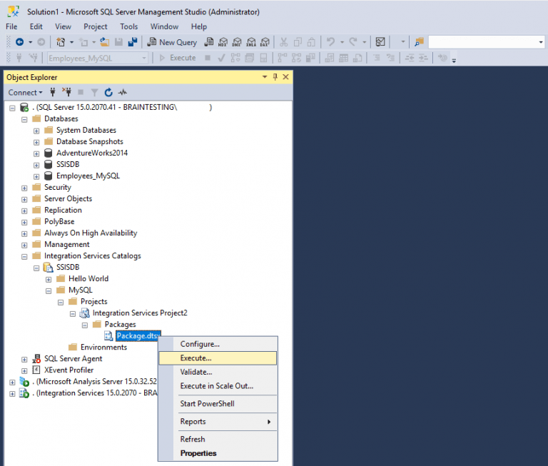 Sql Server Integration Services Ssis Basics Load Data From A Mysql Database Into Sql Server