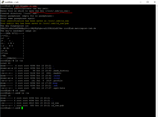 Set up SSH private/public Key Pair without using Password ...