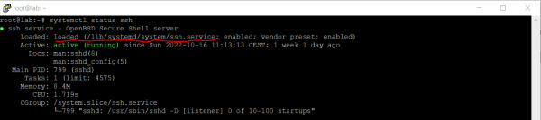 Manage Systemd Services with Systemctl on Ubuntu - .matrixpost.net