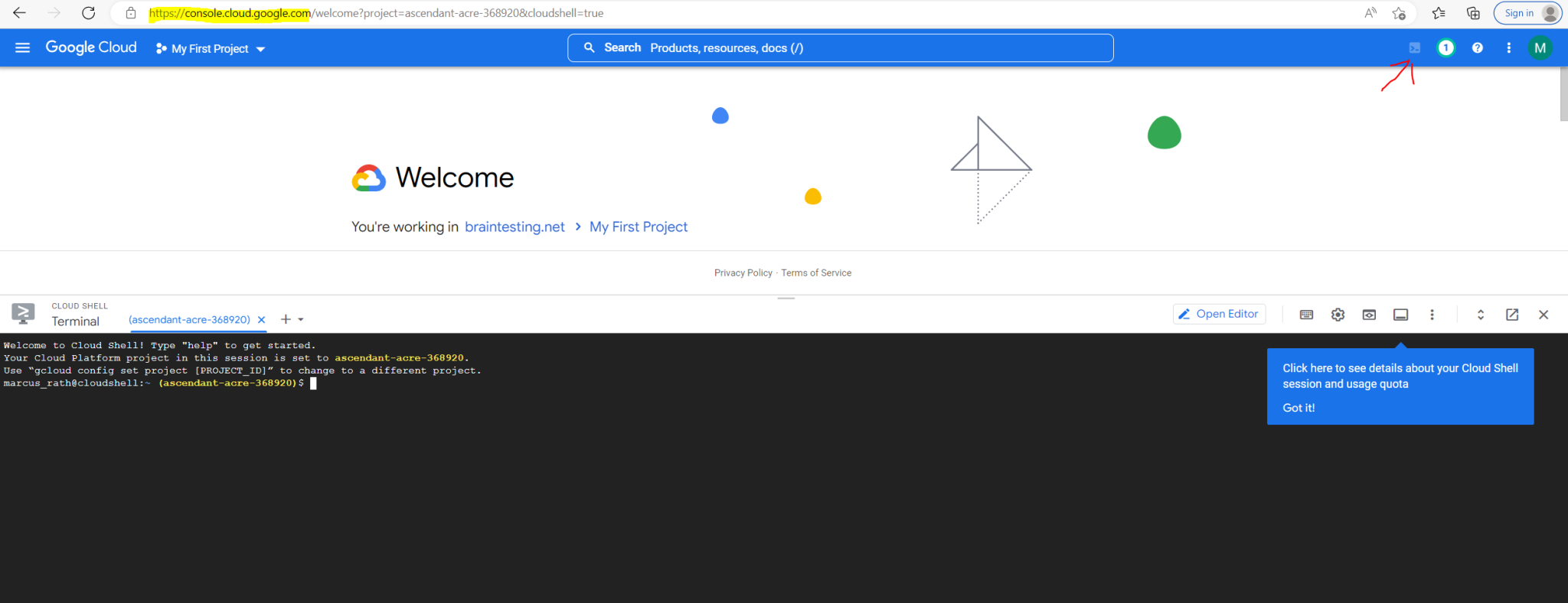 Google Cloud CLI (gcloud) - .matrixpost.net