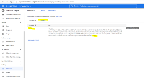 Google Cloud – Create a new Linux VM Instance and Connect to using SSH Metadata - .matrixpost.net