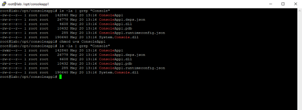 Run a .NET Core C# Console App on Ubuntu - .matrixpost.net