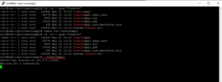 Run a .NET Core C# Console App on Ubuntu - .matrixpost.net