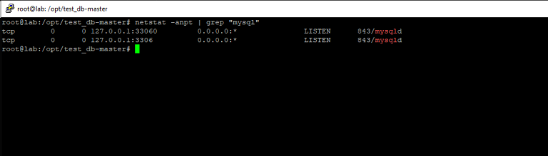 Using MySQL Database for Blazor Server Web App - .matrixpost.net