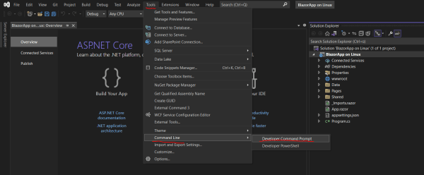 Running Blazor Server Web App On Linux And Apache 5323