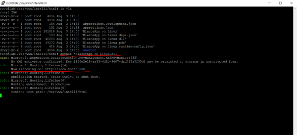 Running Blazor Server Web App on Linux and Apache - .matrixpost.net