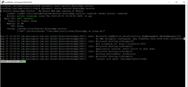 Running Blazor Server Web App On Linux And Apache