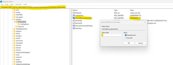 How to disable Certificate Revocation Check for Windows SSTP VPN ...