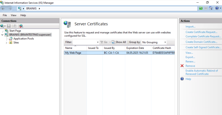Set up a 2-tier PKI in Active Directory Certificate Services (AD CS) – Part 4 - .matrixpost.net