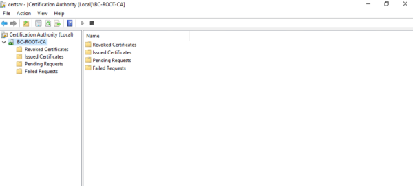 Set up a 2-tier PKI in Active Directory Certificate Services (AD CS ...