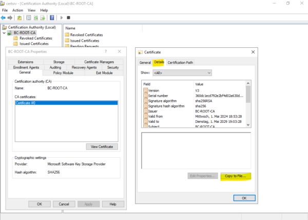 Set up a 2-tier PKI in Active Directory Certificate Services (AD CS ...