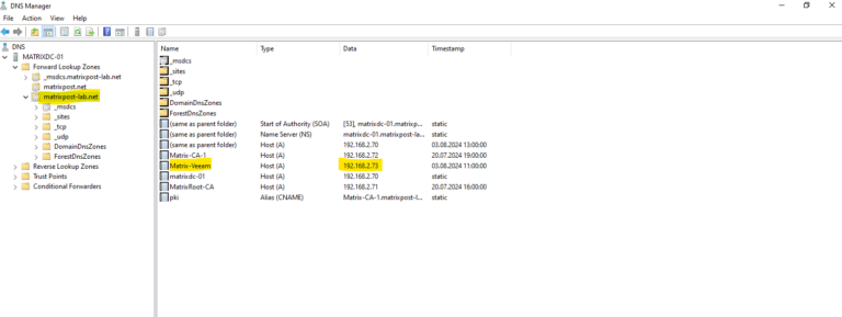 Impact of DNS Primary Suffix and DNS Suffix Search List on the DNS Name ...