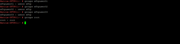 Set up a SFTP Server on SUSE Linux Enterprise Server - .matrixpost.net