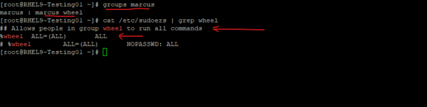 Whats The Difference In Linux Between The Commands Su Vs Su Without