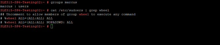 Whats The Difference In Linux Between The Commands Su Vs Su Without