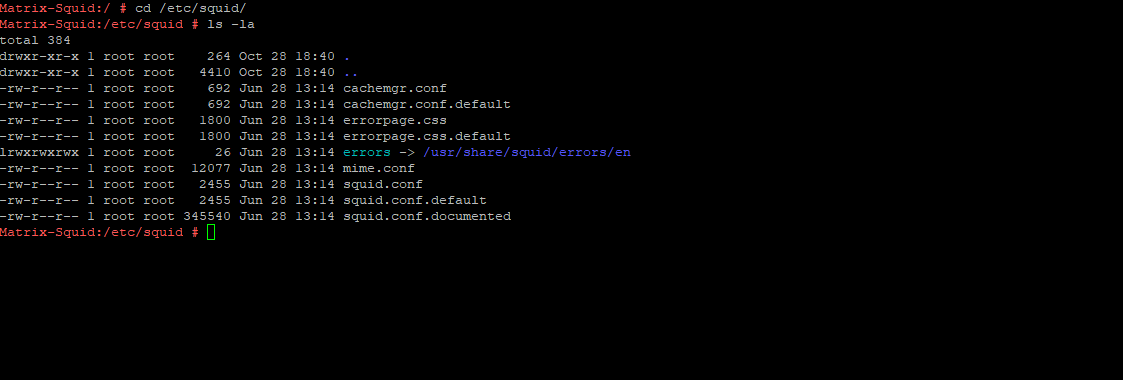 Set up the Squid Proxy Server on SUSE Linux Enterprise - .matrixpost.net
