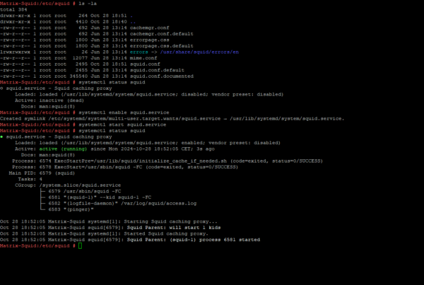 Set up the Squid Proxy Server on SUSE Linux Enterprise - .matrixpost.net