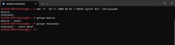 How To Elevate A Linux User Account With Sudo Rights