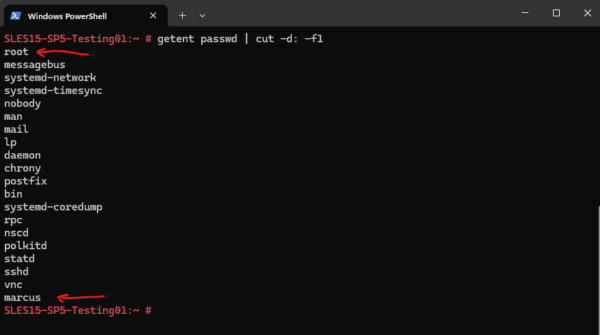 How to elevate a Linux User Account with Sudo Rights - .matrixpost.net