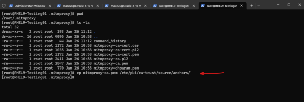Mastering the mitmproxy (MITM interactive HTTPS Proxy) on Linux ...