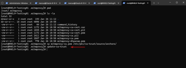 Mastering the mitmproxy (MITM interactive HTTPS Proxy) on Linux ...