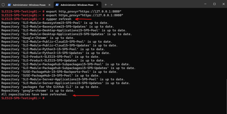 Mastering The Mitmproxy Mitm Interactive Proxy On Linux