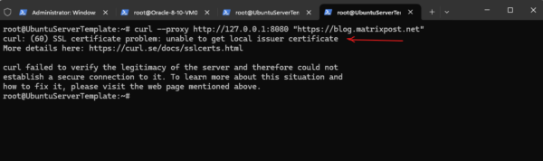 Mastering the mitmproxy (MITM interactive HTTPS Proxy) on Linux ...