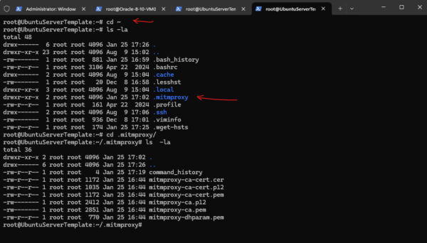 Mastering the mitmproxy (MITM interactive HTTPS Proxy) on Linux ...