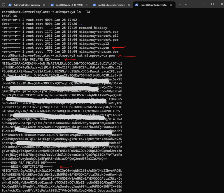 Mastering the mitmproxy (MITM interactive HTTPS Proxy) on Linux - .matrixpost.net