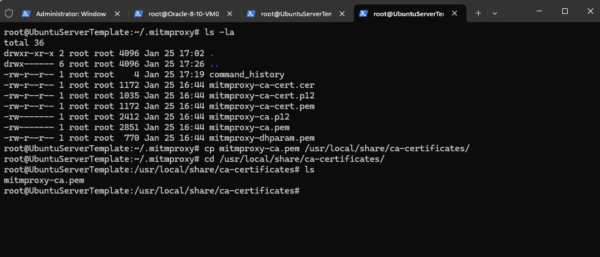 Mastering the mitmproxy (MITM interactive HTTPS Proxy) on Linux ...