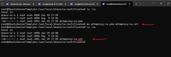 Mastering the mitmproxy (MITM interactive HTTPS Proxy) on Linux ...