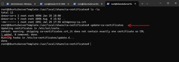 Mastering The Mitmproxy Mitm Interactive Proxy On Linux