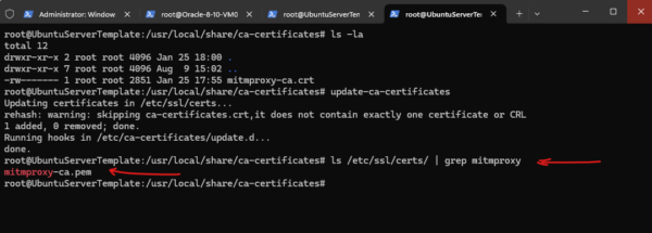 Mastering the mitmproxy (MITM interactive HTTPS Proxy) on Linux ...