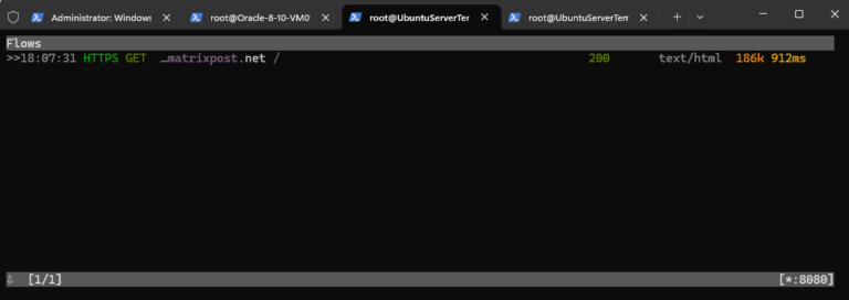 Mastering the mitmproxy (MITM interactive HTTPS Proxy) on Linux ...