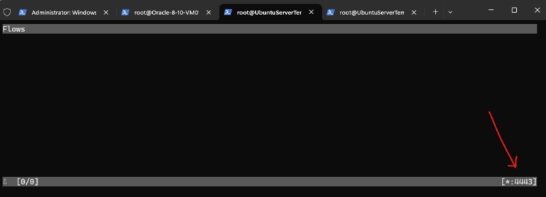 Mastering the mitmproxy (MITM interactive HTTPS Proxy) on Linux ...