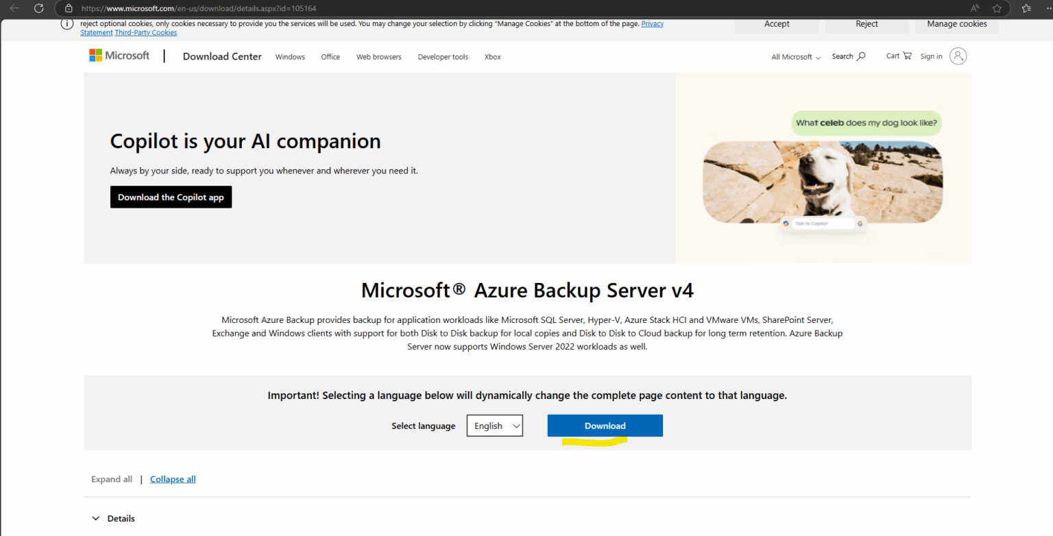Back Up Vmware Vms With Azure Backup Server