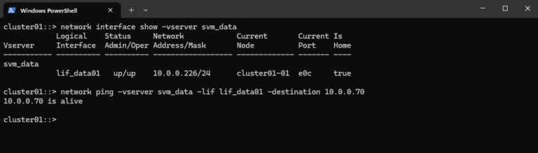 Cheat Sheet NetApp ONTAP – Commands used in day-to-day operations ...