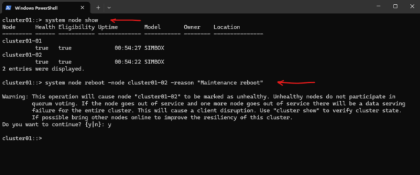 Cheat Sheet NetApp ONTAP – Commands used in day-to-day operations ...
